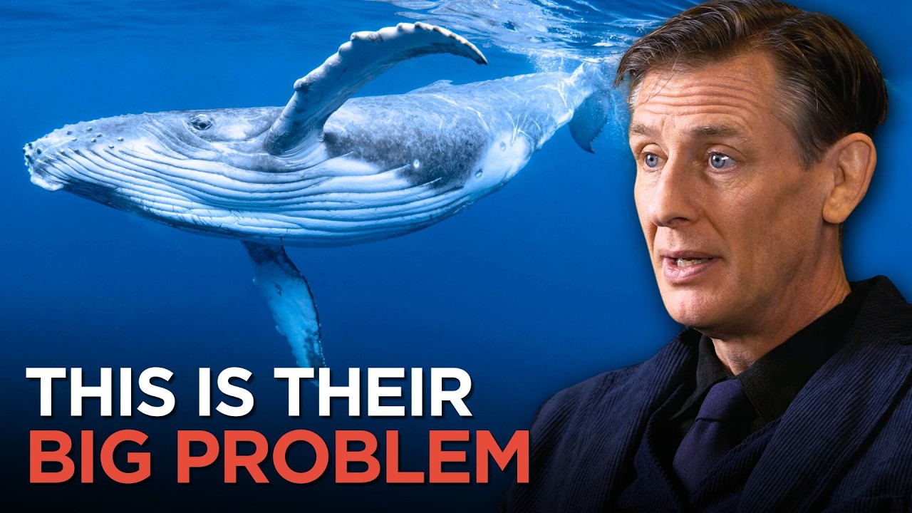 Calvin Smith: The Single Strongest Objection To The Evolutionary ...